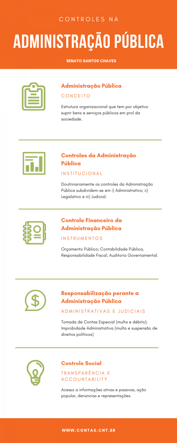 Controles na Administração Pública Brasileira. Gestão Pública.